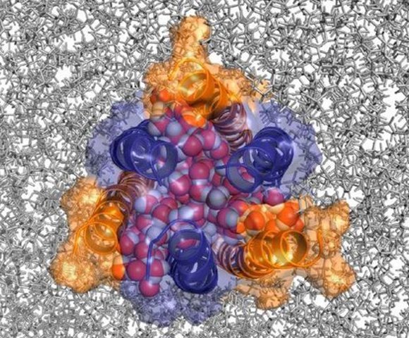 Archer supercomputer allows modelling "from quantum-scale to earth ...