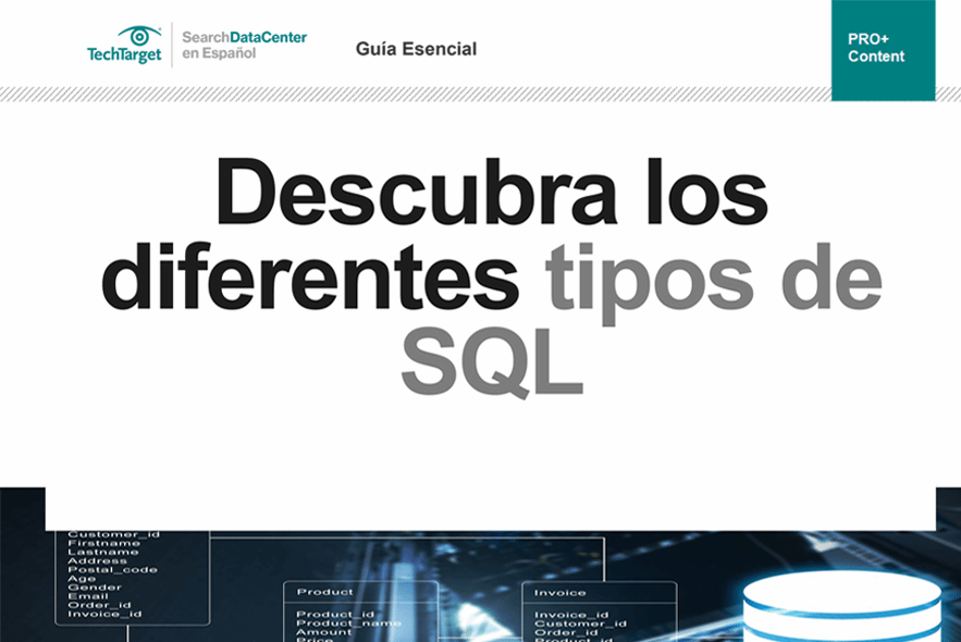 Descubra los diferentes tipos de SQL