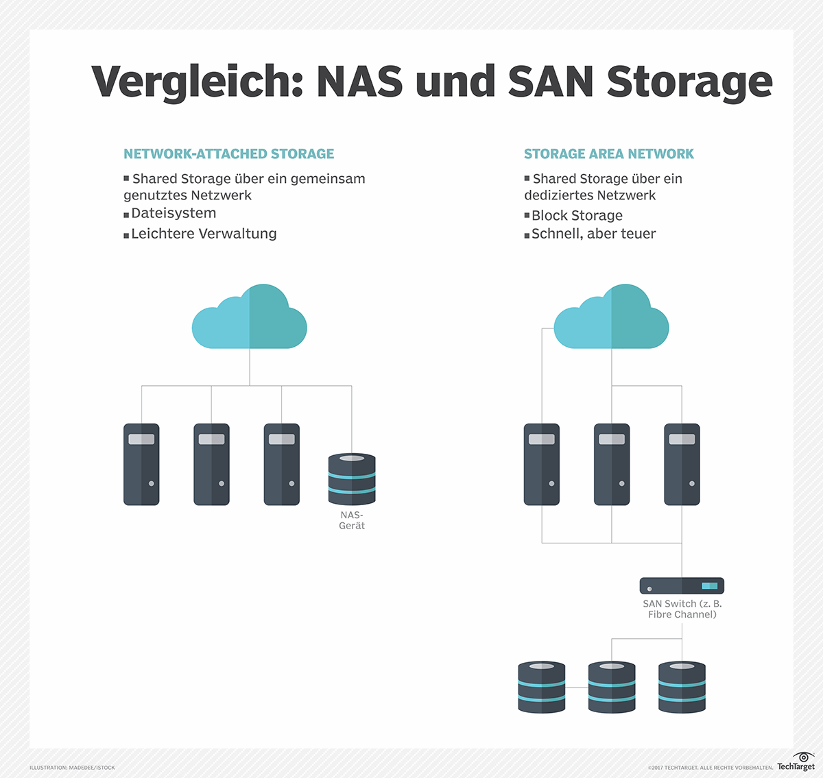 Storage Area Network (SAN)