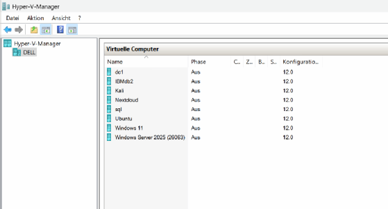 Wichtige Neuerungen für Hyper-V in Windows Server 2025 | Computer Weekly