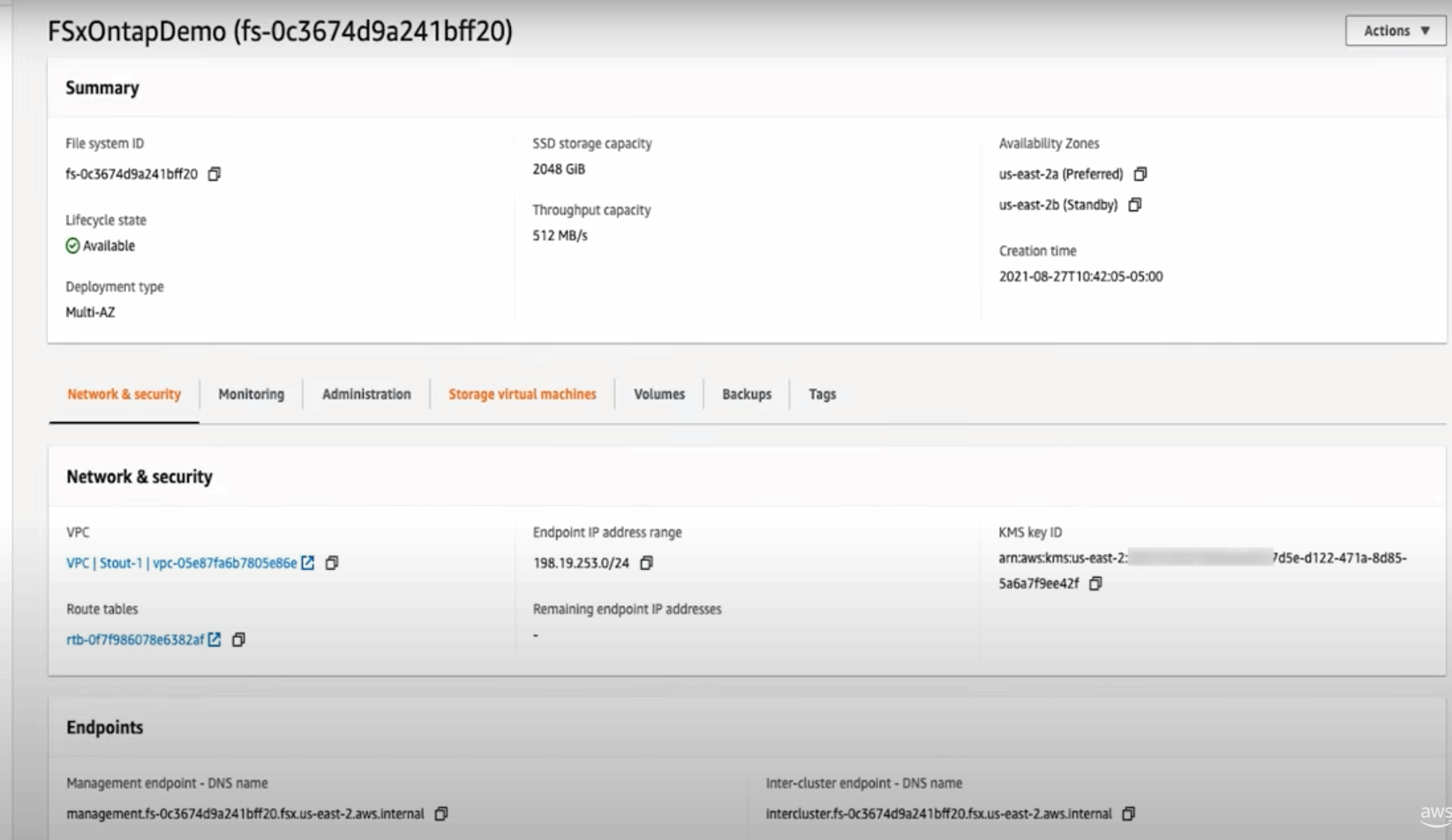 Amazon FSx: So funktioniert Netapp ONTAP in der Cloud | Computer Weekly