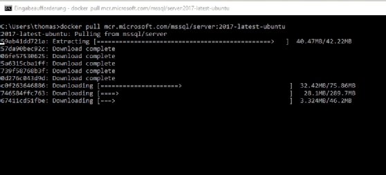 Microsoft SQL Server als Container betreiben | Computer Weekly