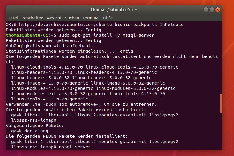 Microsoft SQL Server 2019 zusammen mit Linux einsetzen | Computer Weekly