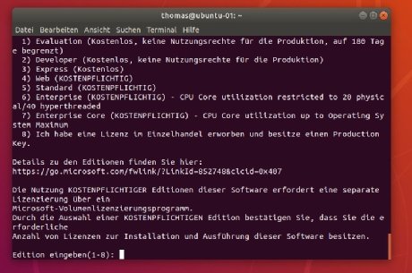 Microsoft SQL Server 2019 zusammen mit Linux einsetzen