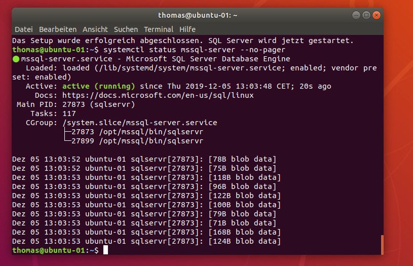 Microsoft SQL Server 2019 zusammen mit Linux einsetzen | Computer Weekly