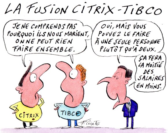 Fusion Citrix – Tibco : quelles sont les synergies possibles