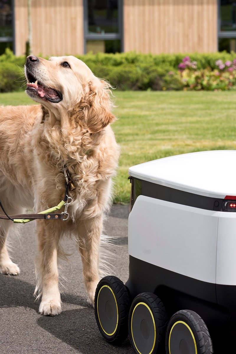 Guide dogs not fazed by self-driving robots | Computer Weekly
