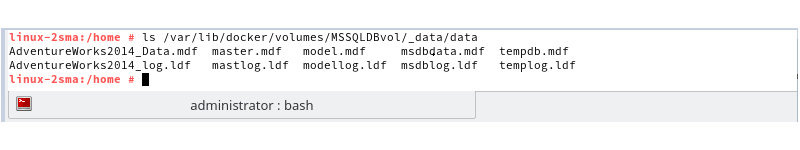 2 ways to attach SQL Server database files to Linux containers | TechTarget