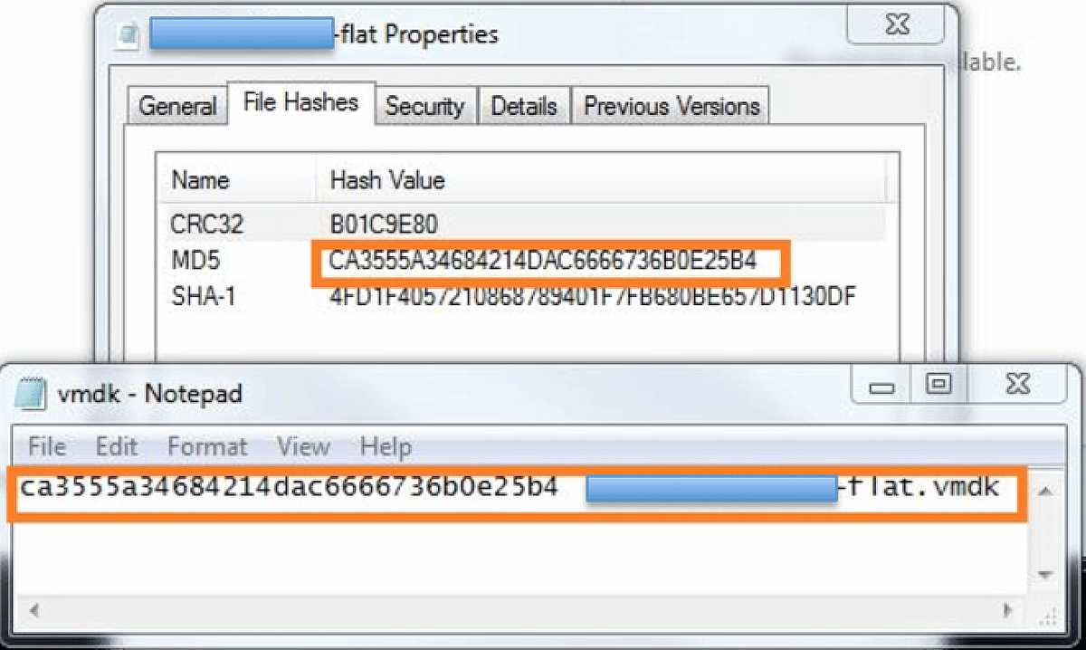 How to perform a forensic acquisition of a virtual machine disk | TechTarget