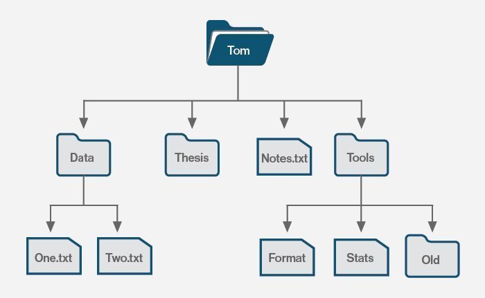 What Is A File System 