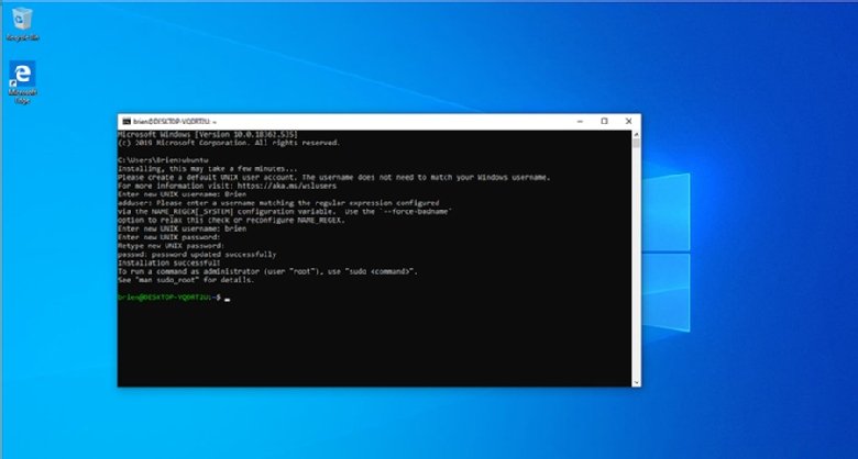 How to perform a Windows Subsystem for Linux install