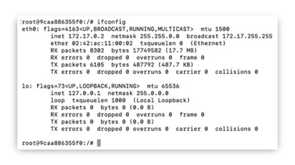 Grasp Docker Networking Basics With These Commands And Tips Techtarget