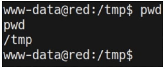 How to conduct Linux privilege escalations | TechTarget