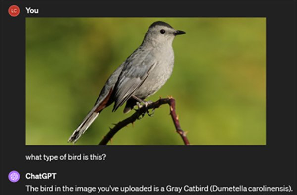 Compare large language models vs. generative AI | TechTarget