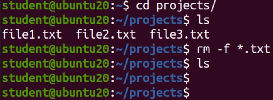 Tutorial: How to use Linux Deja Dup to back up and restore files | TechTarget