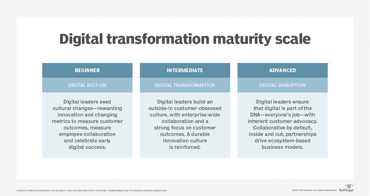 What is digital culture and why is it important?