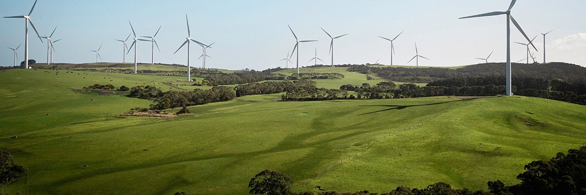 Assess the environmental impact of data centers | TechTarget Assess the environmental impact of data centers | TechTarget
