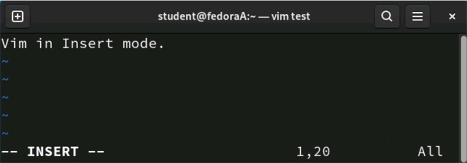 How to use Vim in Linux | TechTarget