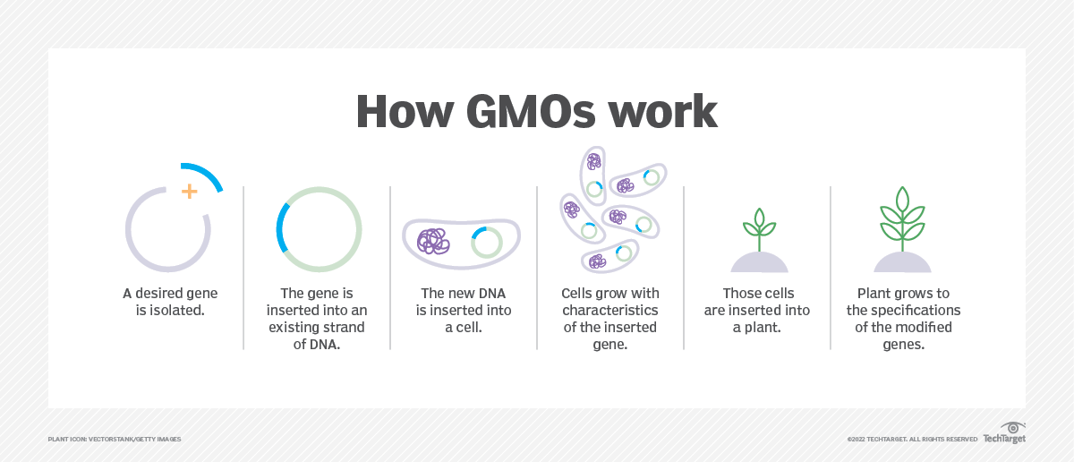 What is Biotechnology? Definition, Types and Applications | TechTarget