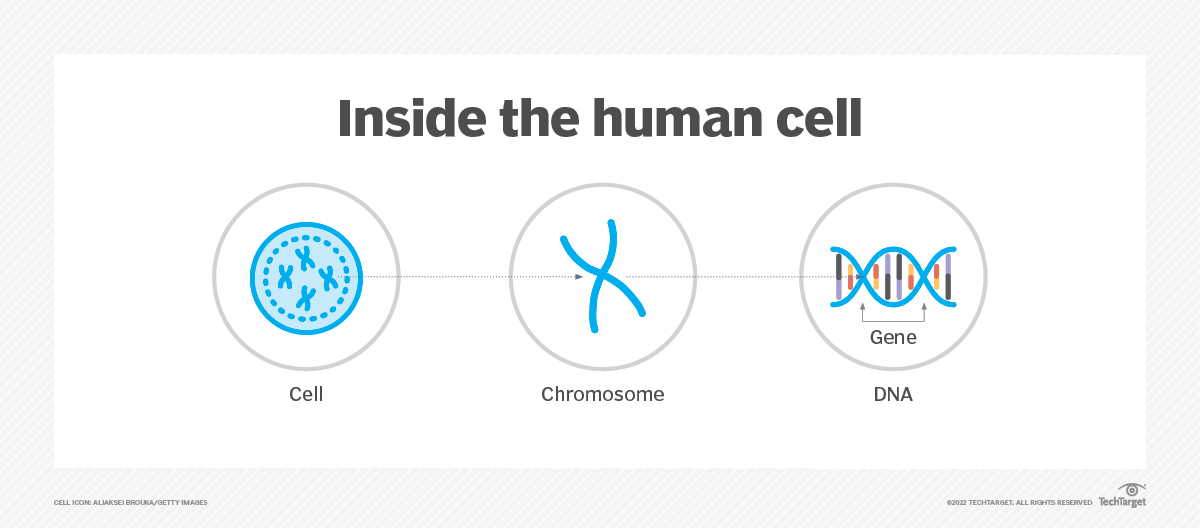 What is Biotechnology? Definition, Types and Applications | TechTarget