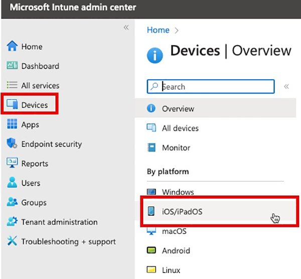 How to deploy Intune compliance policies for iOS and iPadOS | TechTarget