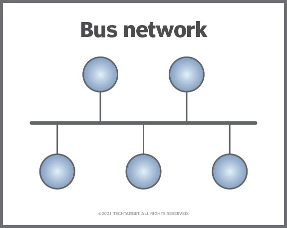 What is a bus network?