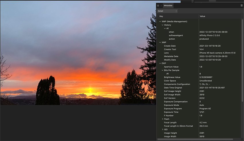 What is image metadata and how is it used?