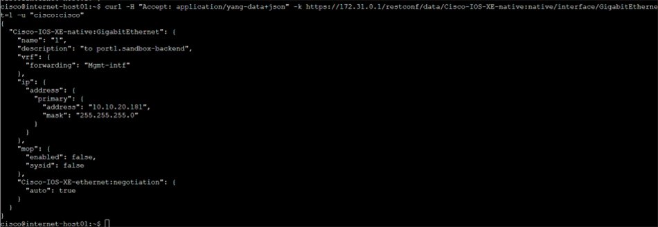How To Interact With Network Apis Using Curl Postman Tools Techtarget