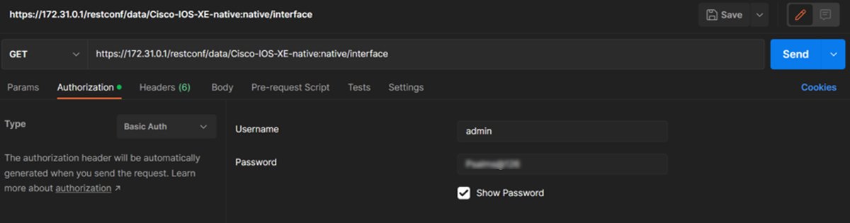 How To Interact With Network Apis Using Curl Postman Tools Techtarget