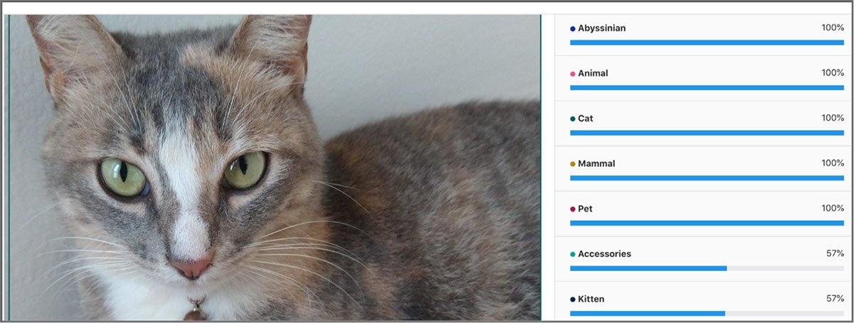 How to use Amazon SageMaker Canvas for accurate predictions | TechTarget