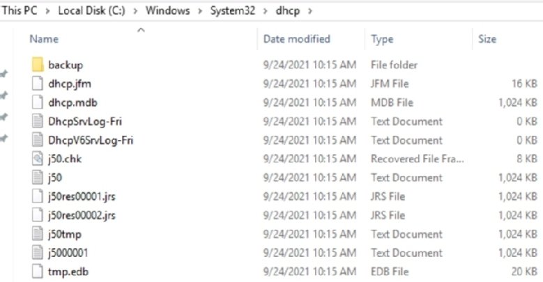 Una guía para la configuración del servidor DHCP de Windows | les Perrieres