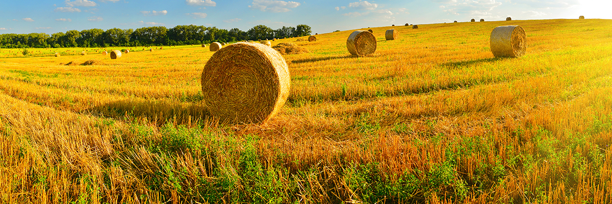 Openreach tests new digging tech for rural broadband builds | Computer ...
