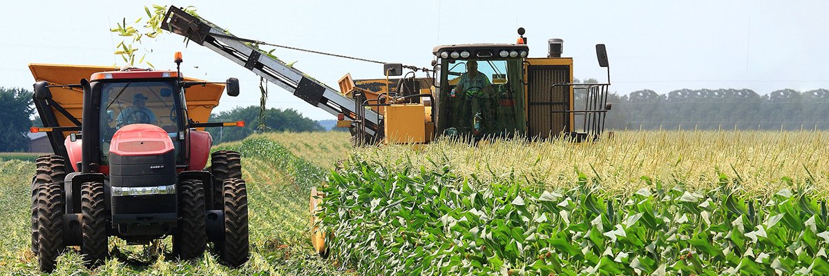 Sowing the seeds of growth through IP communications | Computer Weekly